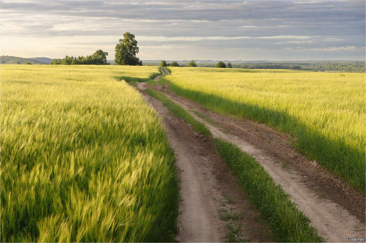Carbon farms - GINZBURG